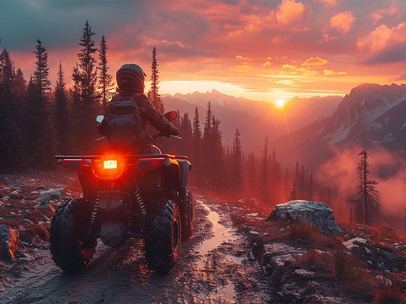 The Ultimate Guide to Choosing the Perfect ATV for Your Adventures ...